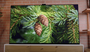 All The Different Types of TVs: Displays, Resolutions, Screens & More